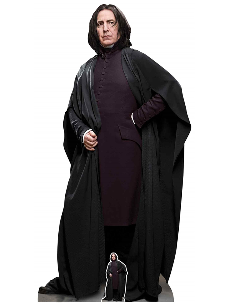 Professor Snape Harry Potter Character